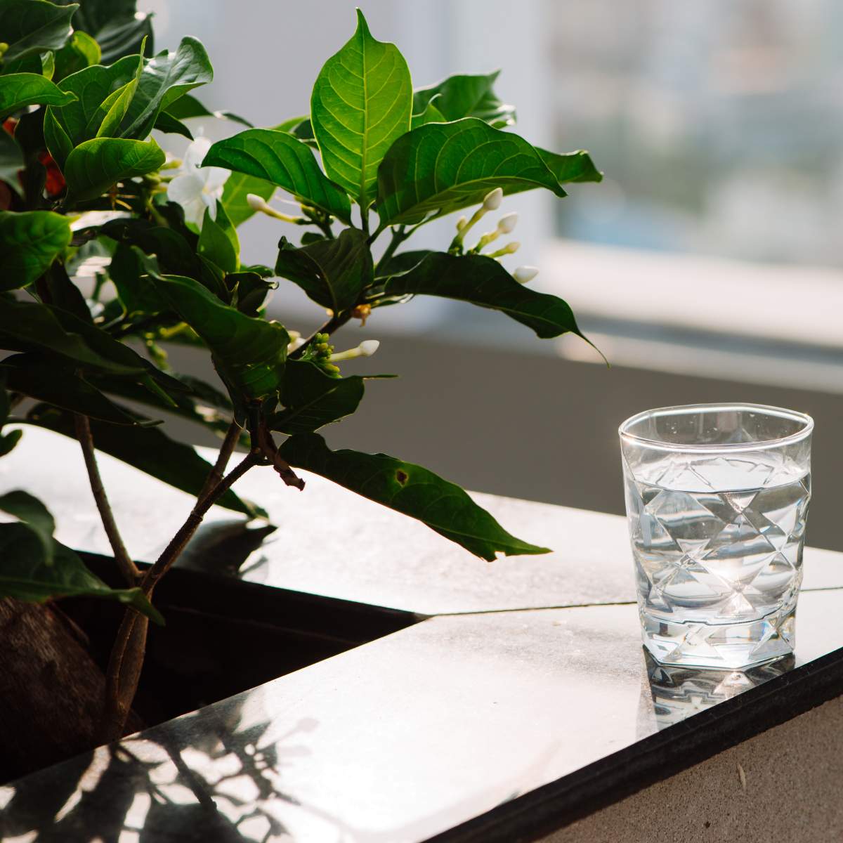 ECWA Opts Into State Program to Aid Customers with Past-Due Water Bills ...